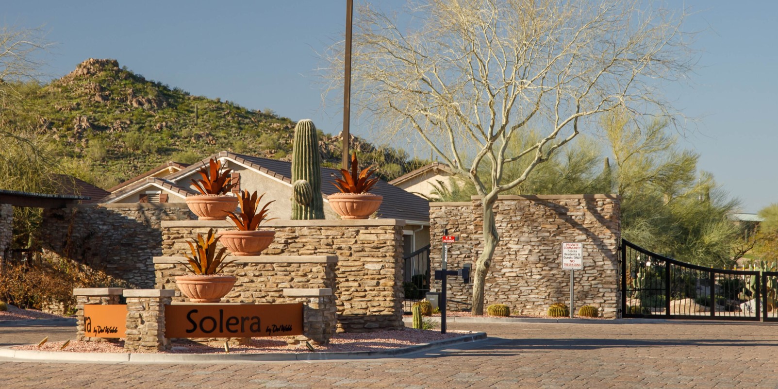 Solera Johnson Ranch - 55+ Arizona Homes For Sale